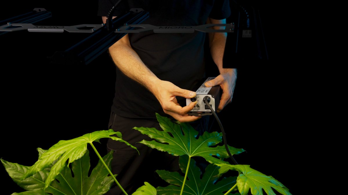 Grow light timers explained – MIGROLIGHT